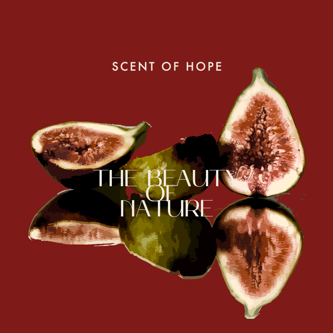 Discover your perfect scent – Scent of hope